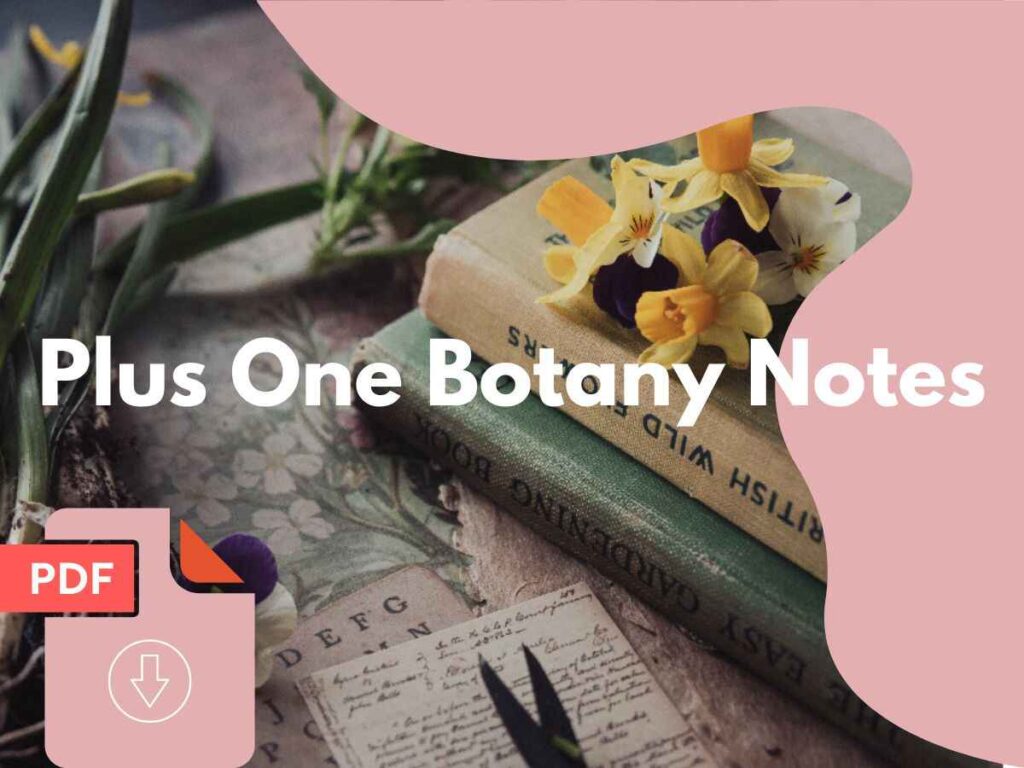 Plus One Botany Notes - PDF Download Chapter Wise Q&A