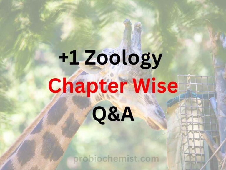 Plus One Zoology Chapter Wise Questions and Answers - PDF